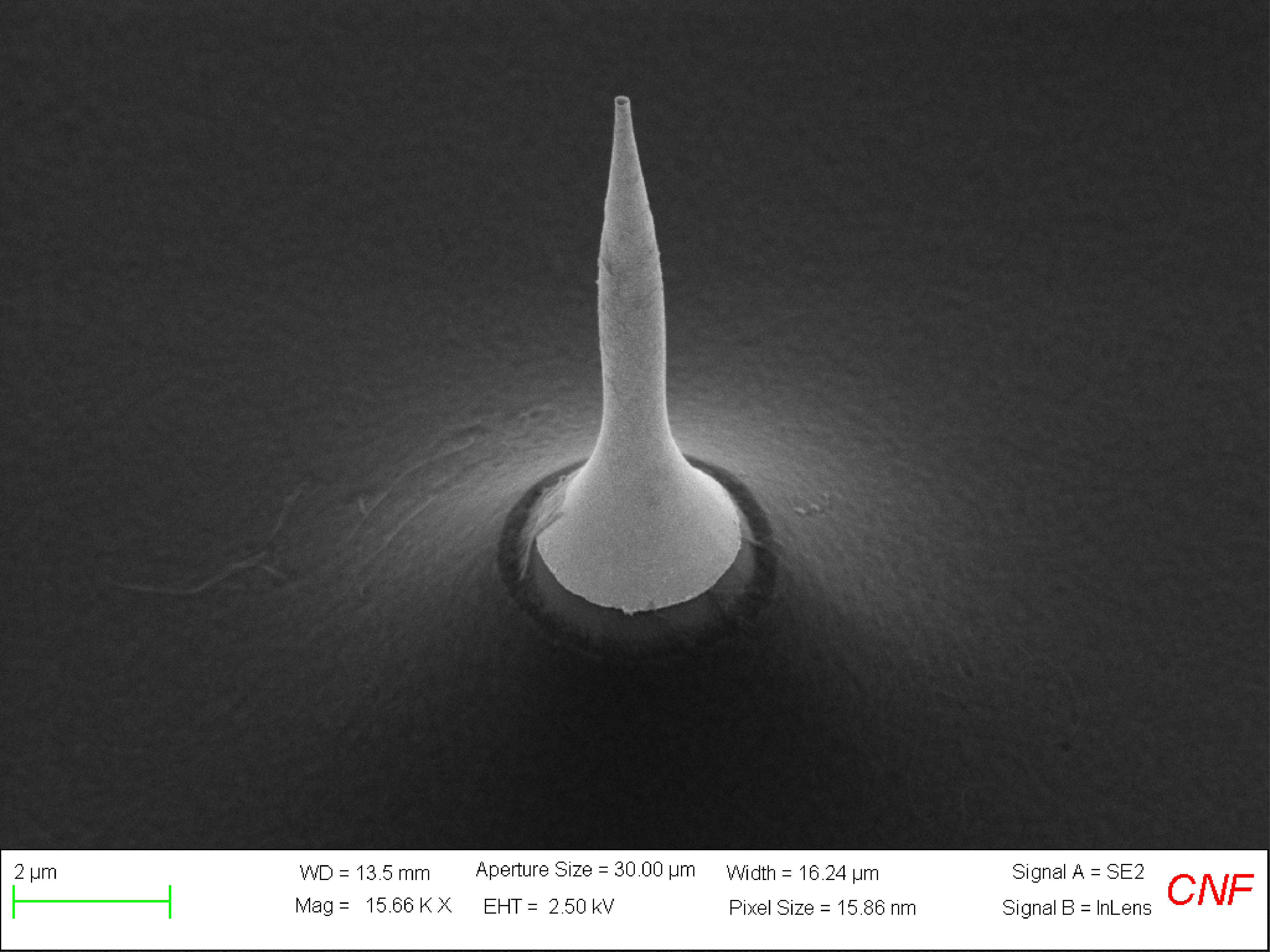 Nanoelectronics – Nano Neurotechnology Lab @Purdue
