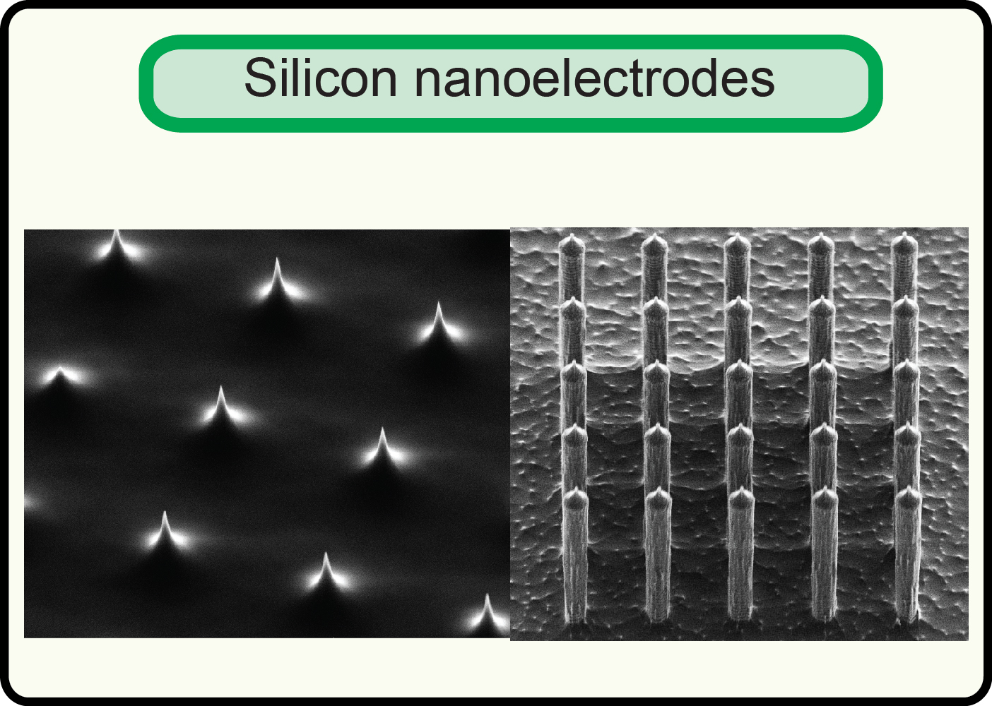 Nanoelectronics – Nano Neurotechnology Lab @Purdue