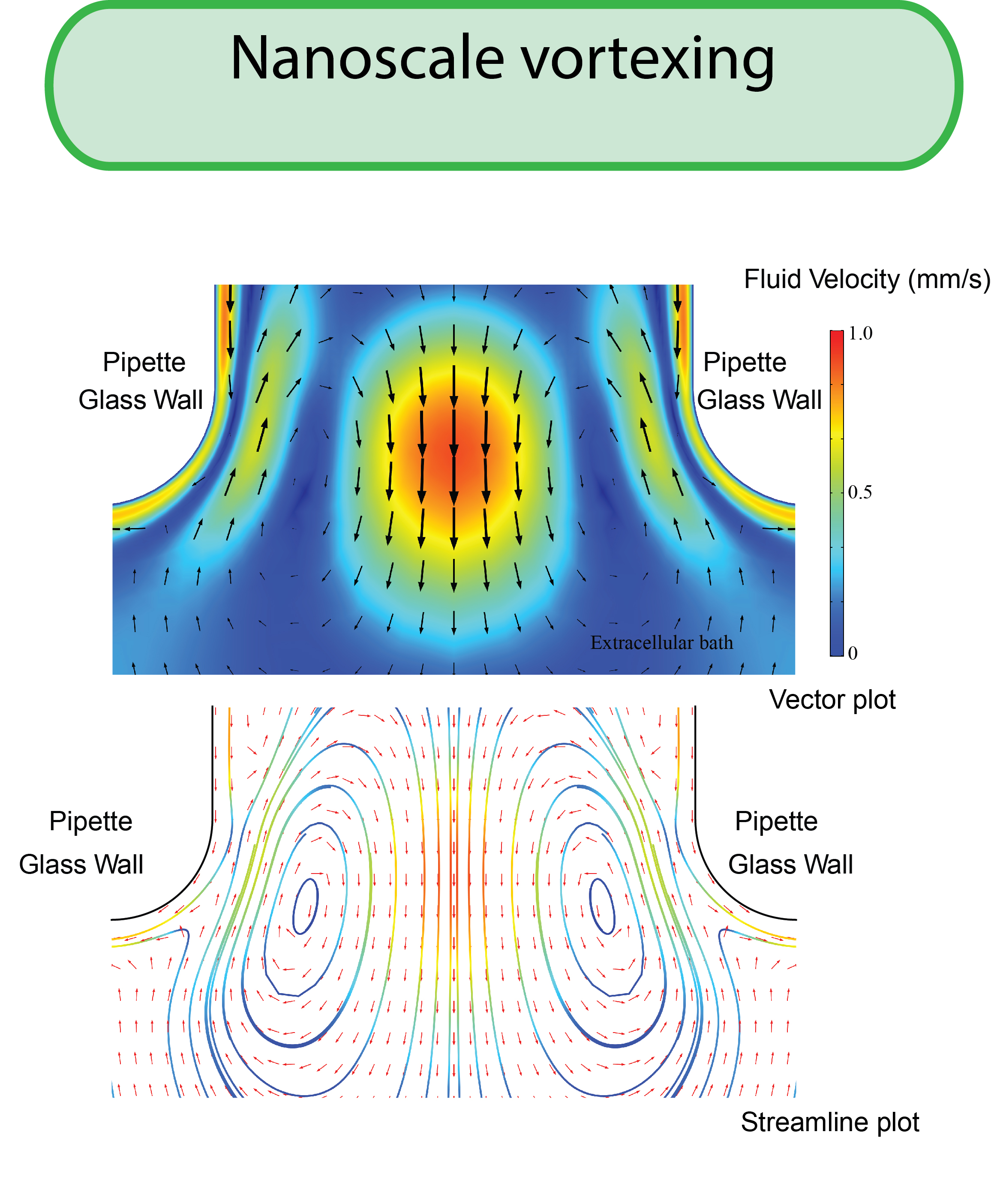 Biophysics & Nanoscience – Nano Neurotechnology Lab @Purdue